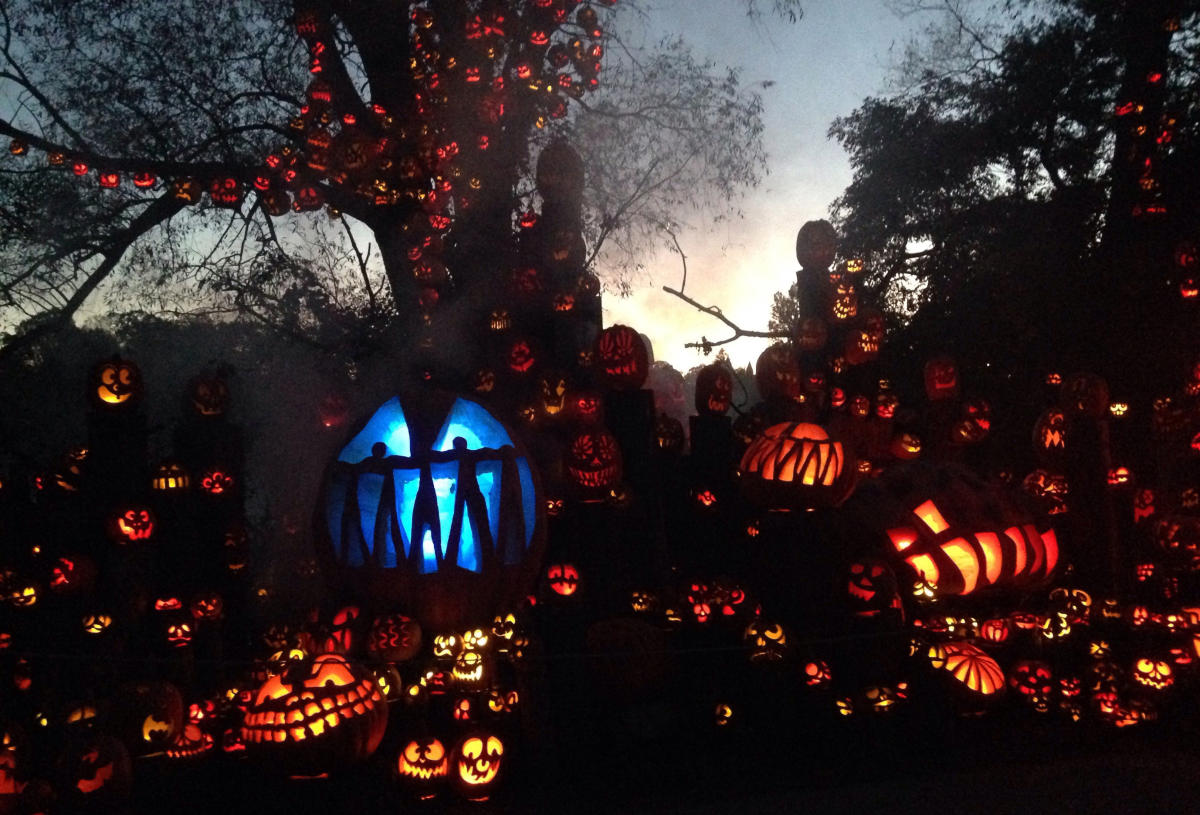 The Magic Of Halloween!