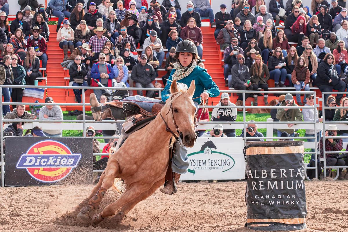 Norco in Riverside, CA | Horse Riding & Rodeo