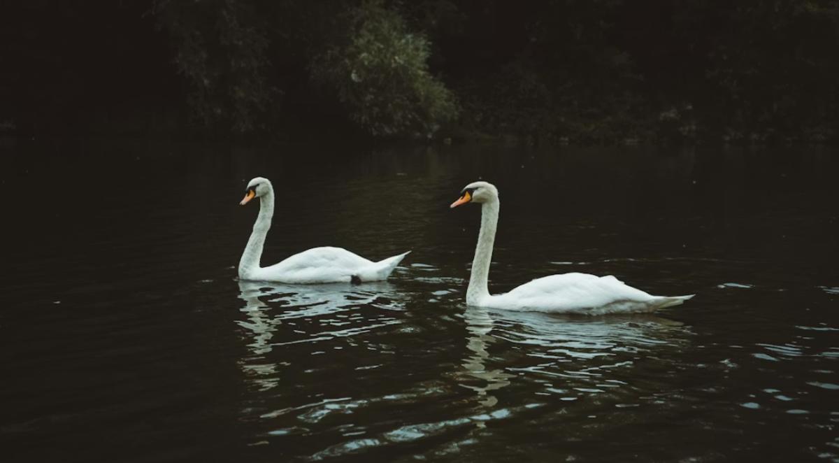 More Quirky Thames Path Anecdotes (part 2 of 3)