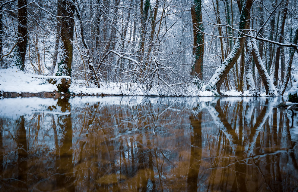 Packing for a winter walk