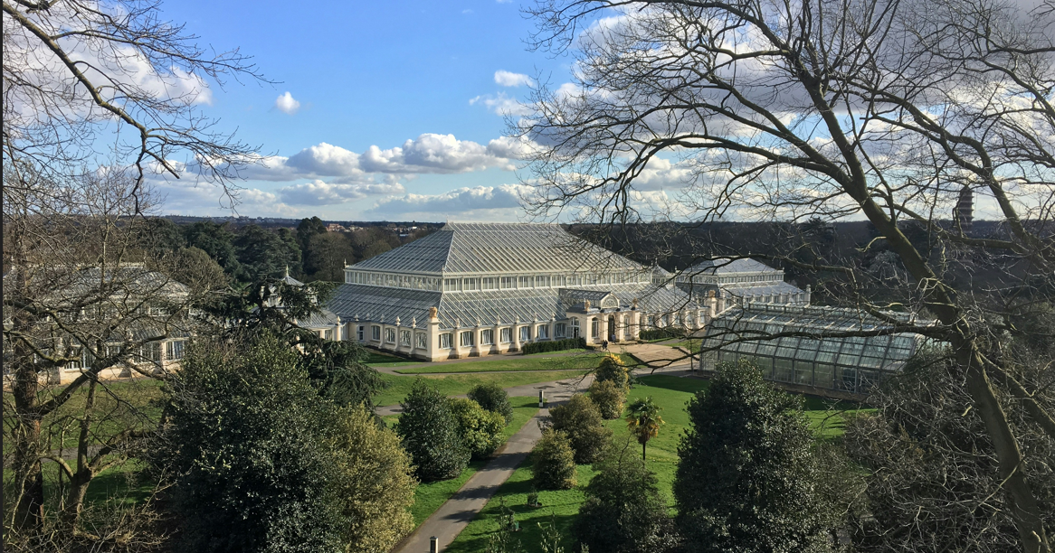 Kew: A Riverside Neighbourhood with Botanical Brilliance
