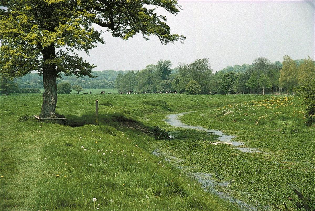 Base | Kemble - The Source of the Thames