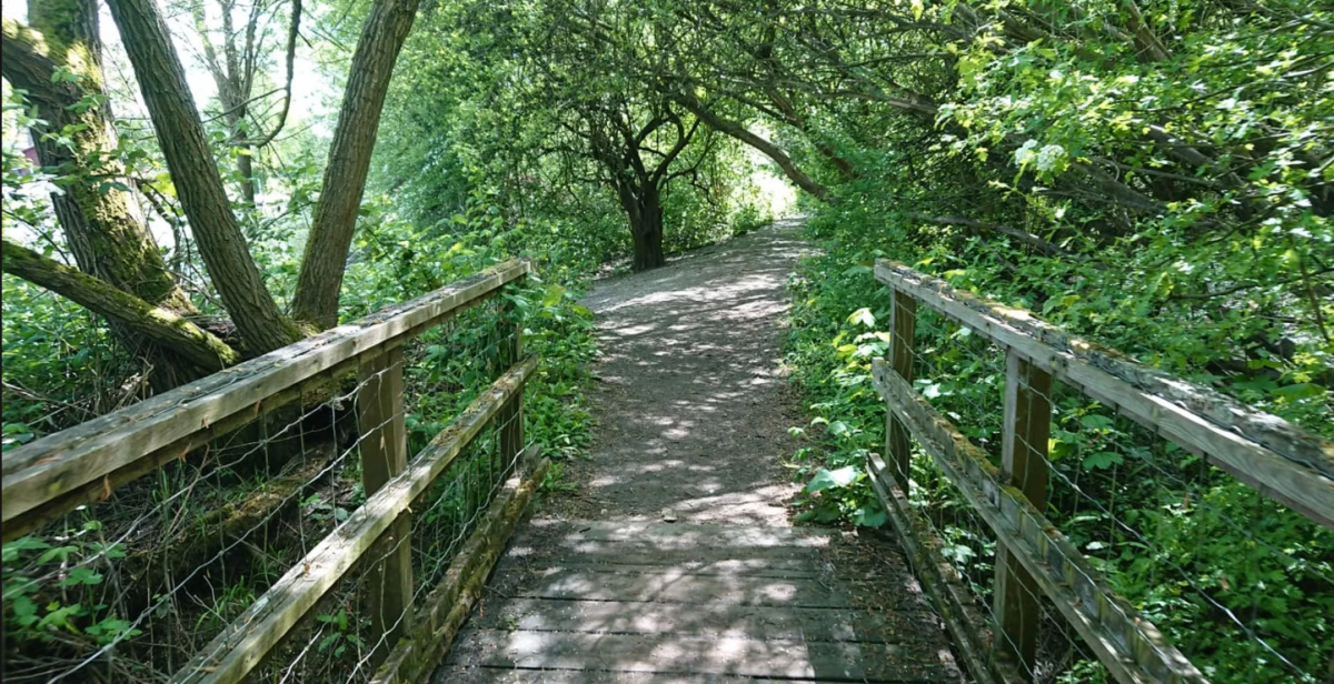 Base | Laleham to Penton Hook Lock
