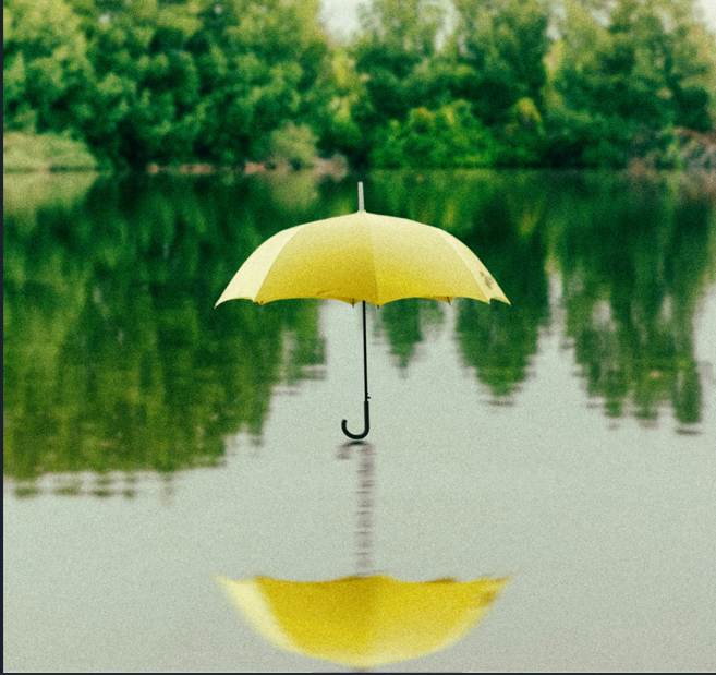 Walking in the Rain: Finding Joy in Nature’s Rhythm