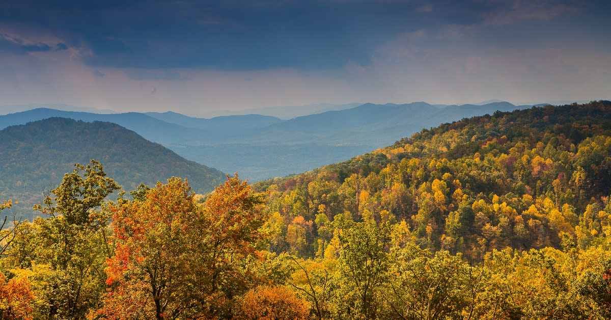 Fall in the Blue Ridge Mountains | Scenic Drives & Foliage