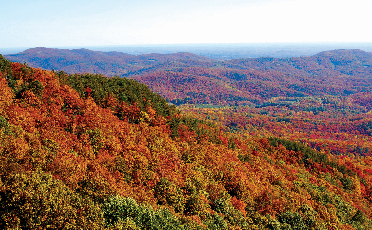5 Off-Road Adventures for Fall Color in Virginia's Blue Ridge