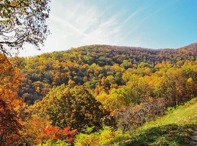 Fall Foliage | Virginia's Blue Ridge Mountains Photo Gallery