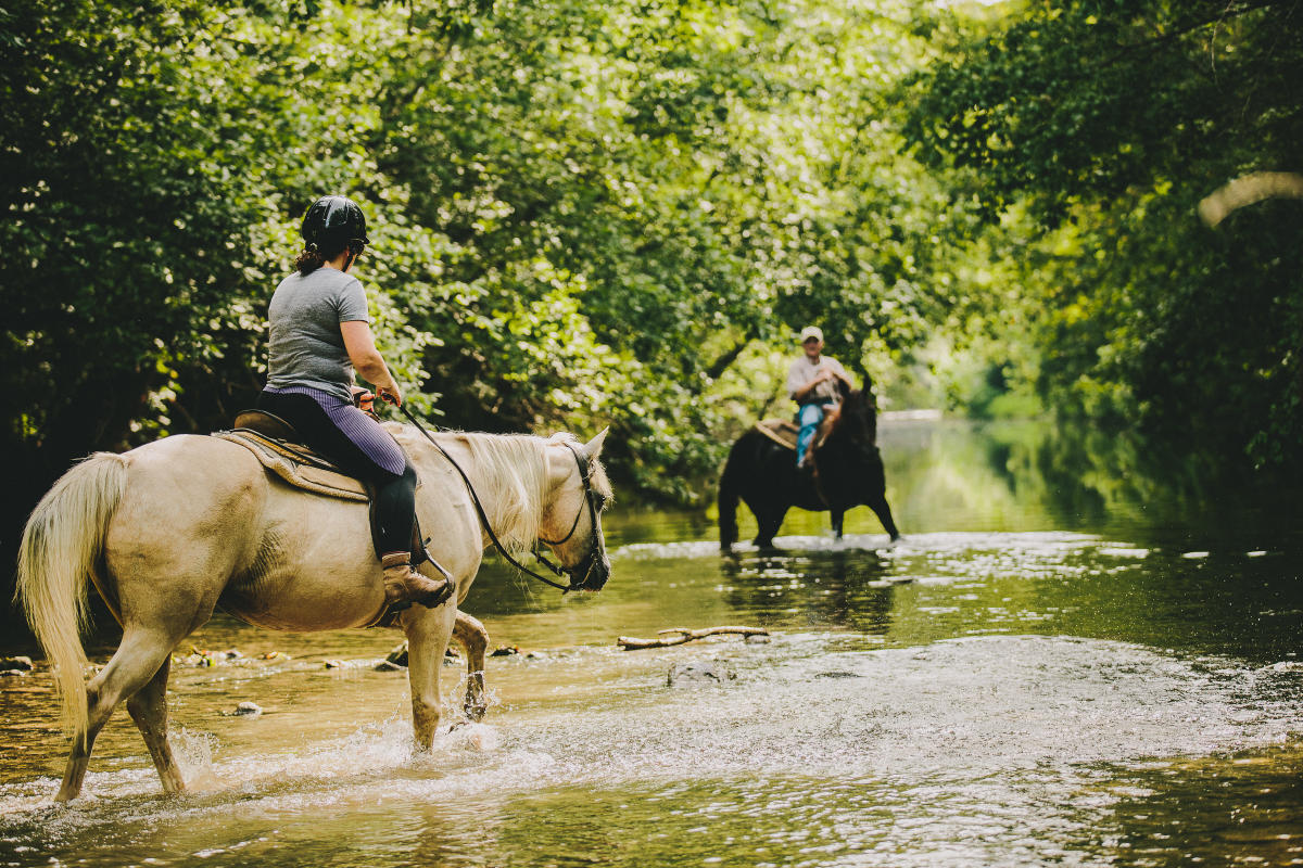 saddle ridge ranch coloring pages