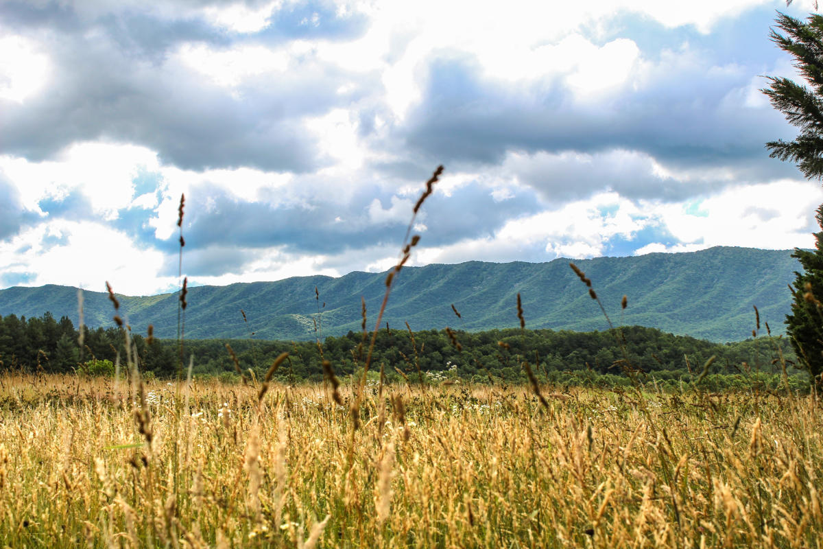 Iconic Mountains: North Mountain in Virginia's Blue Ridge | Dragon's ...