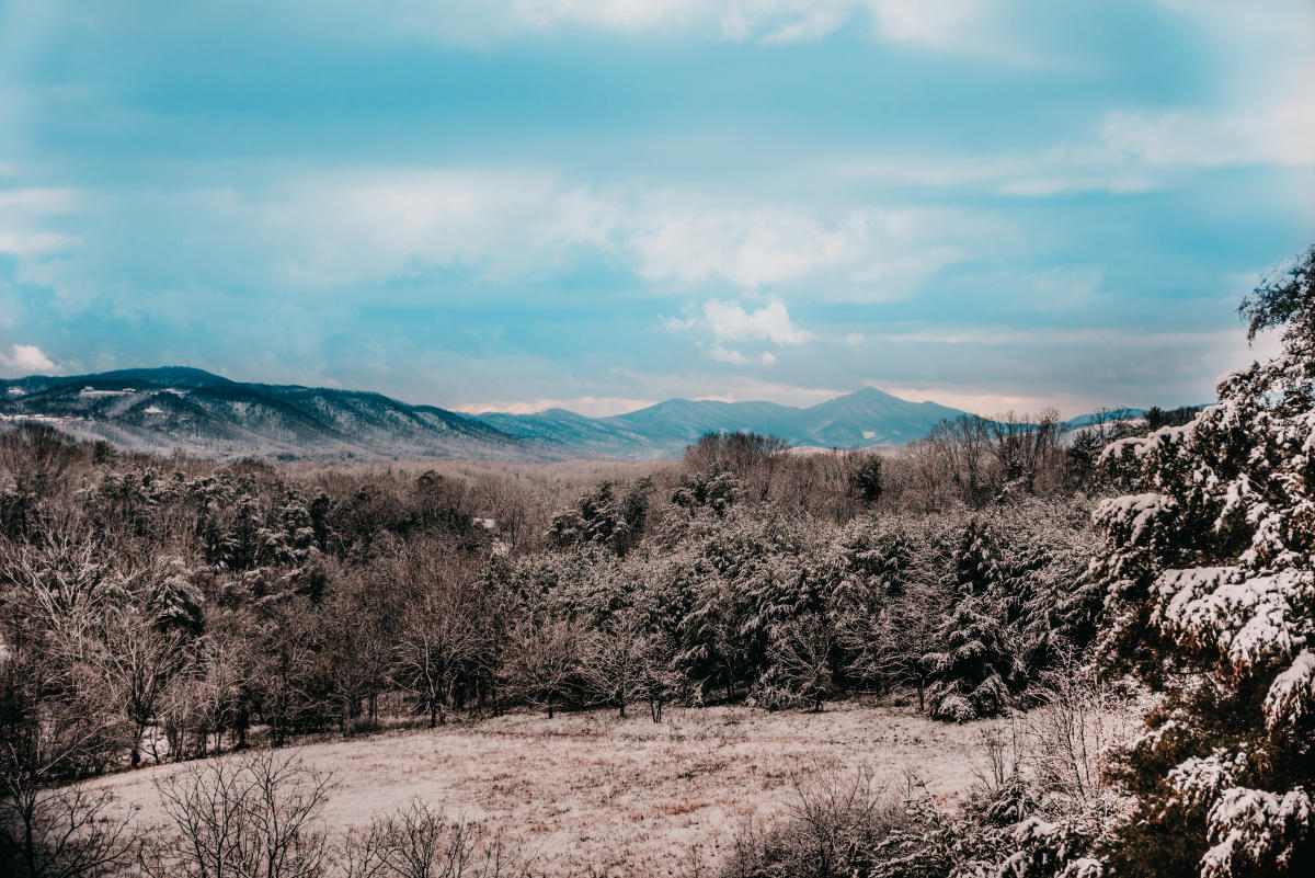 Winter in Roanoke | Snow Sledding, Hiking Trails & Nightlife