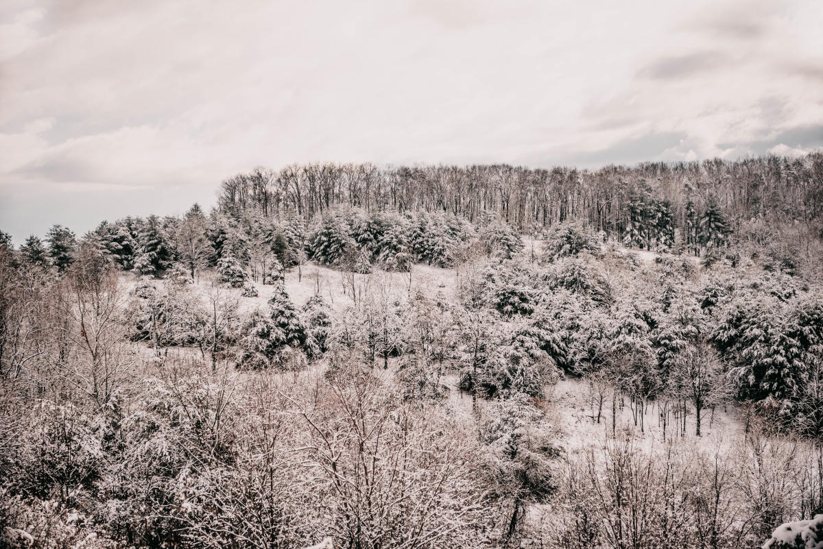 Outdoor Winter Activities Virginia's Blue Ridge | Hiking, Biking