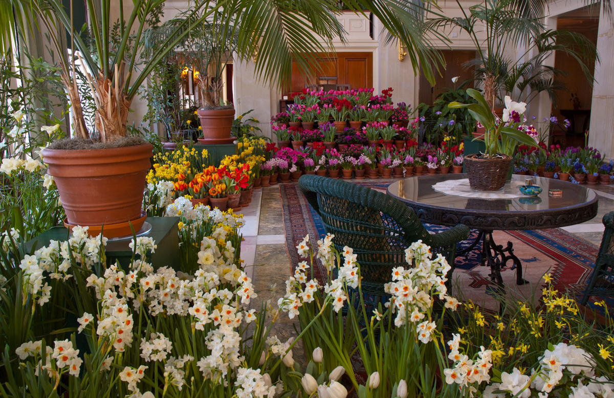 Dutch Connection Takes Bloom at George Eastman Museum