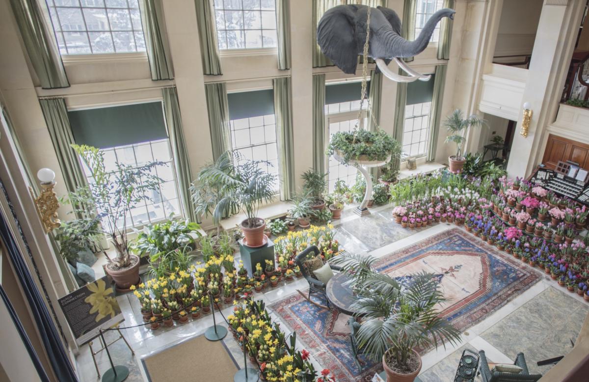 Q&A with the George Eastman Museum and the “I Believe I’ll Run On” Exhibit