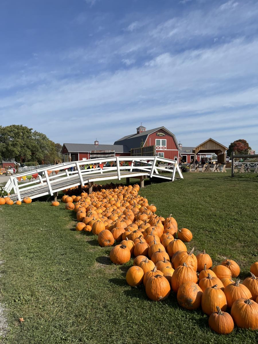 Things to Do This Fall in Rochester, NY