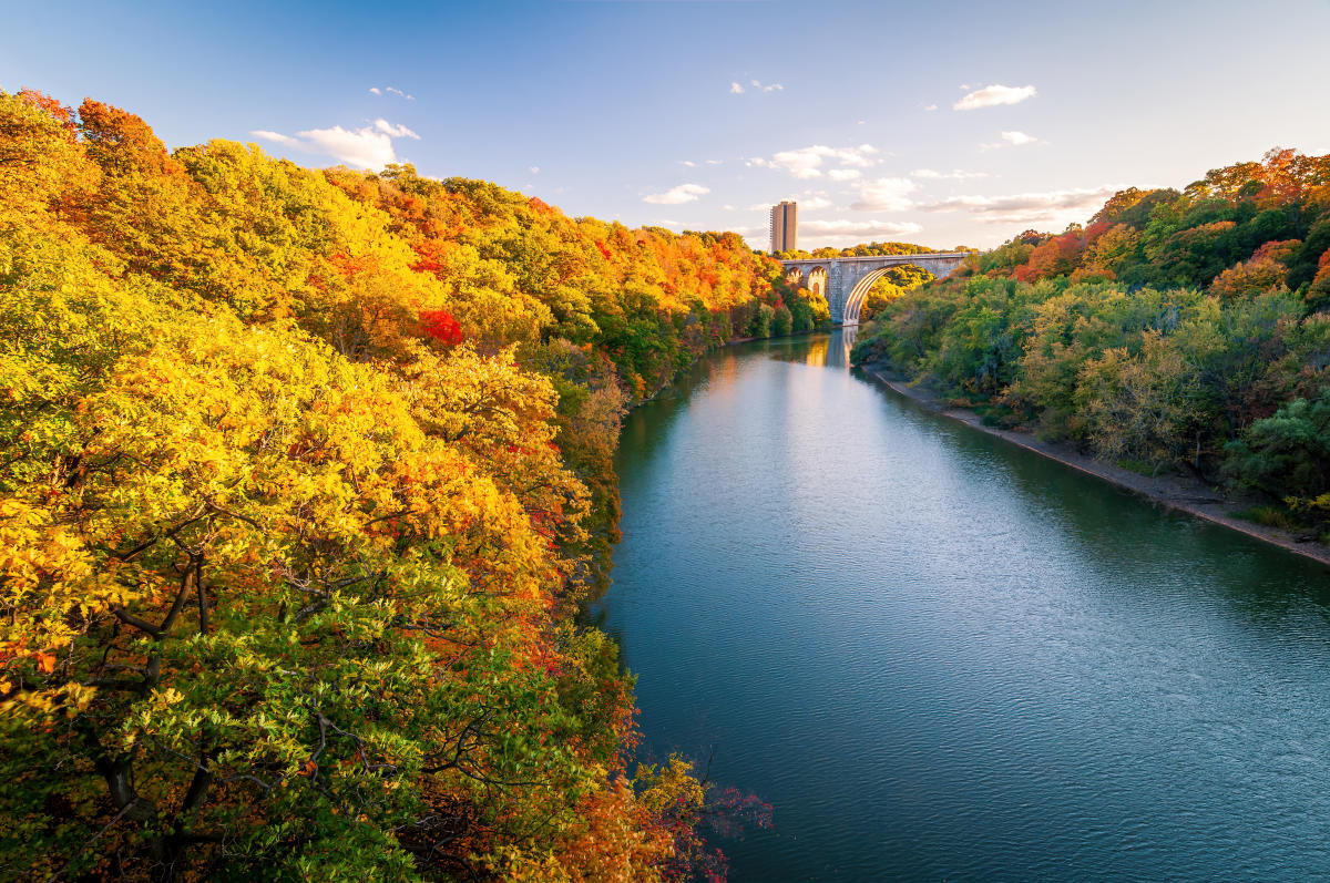 The Ultimate Fall Bucket List: Things To Do In Rochester & The Finger Lakes