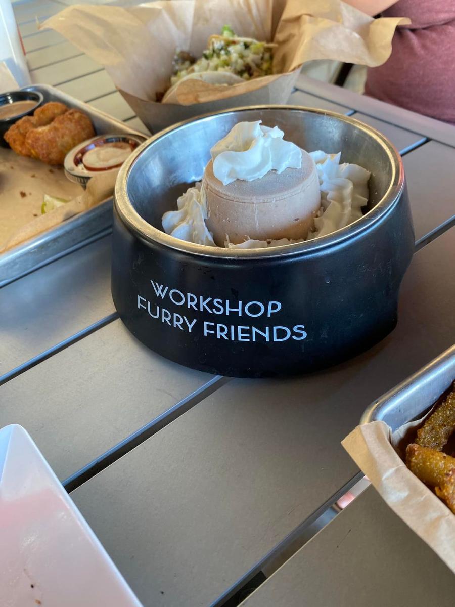 Four Places to Treat Your Dog in Rochester, MN