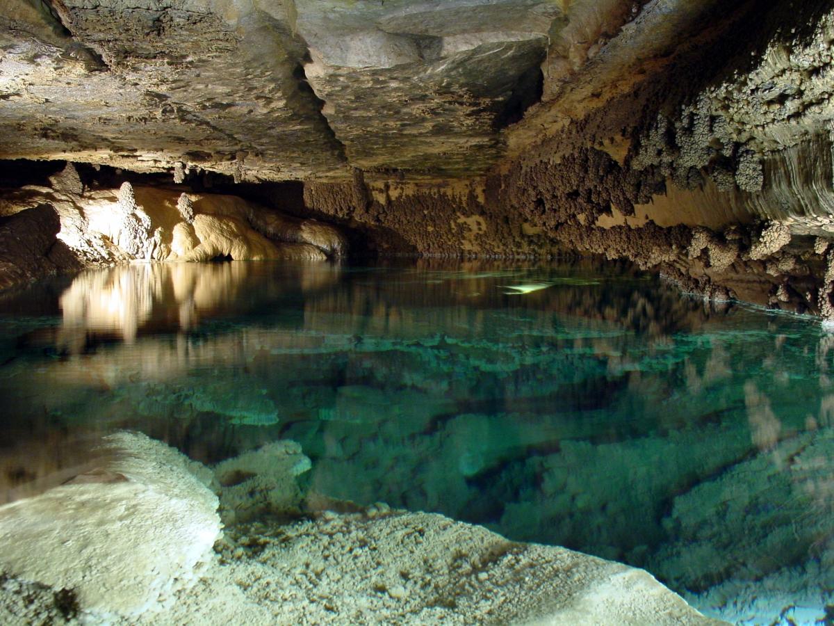 Guide to State Parks Near Rochester, MN