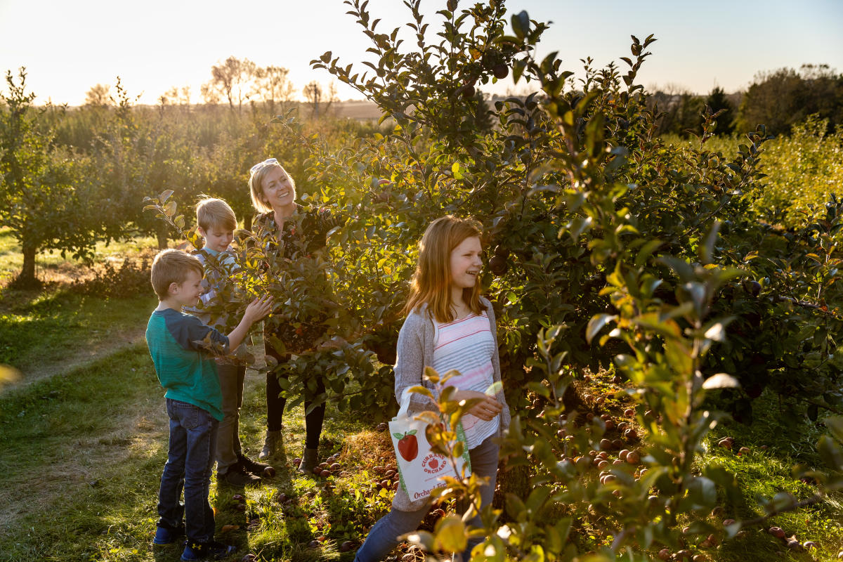 Orchards In Rockford, IL | Rockford Farmers Markets