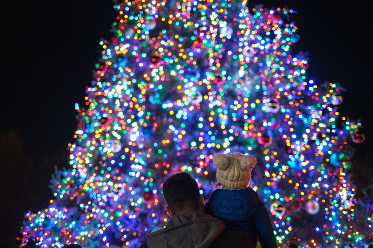 Top Tips to Make the Most of your Stroll on State Experience