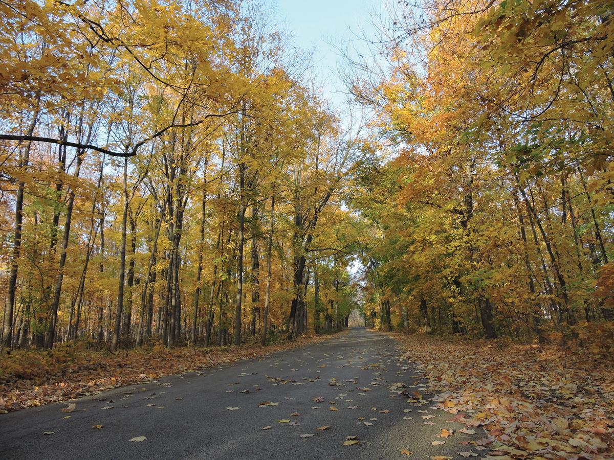 Visit Forest Preserves of Winnebago County for Fall Colors