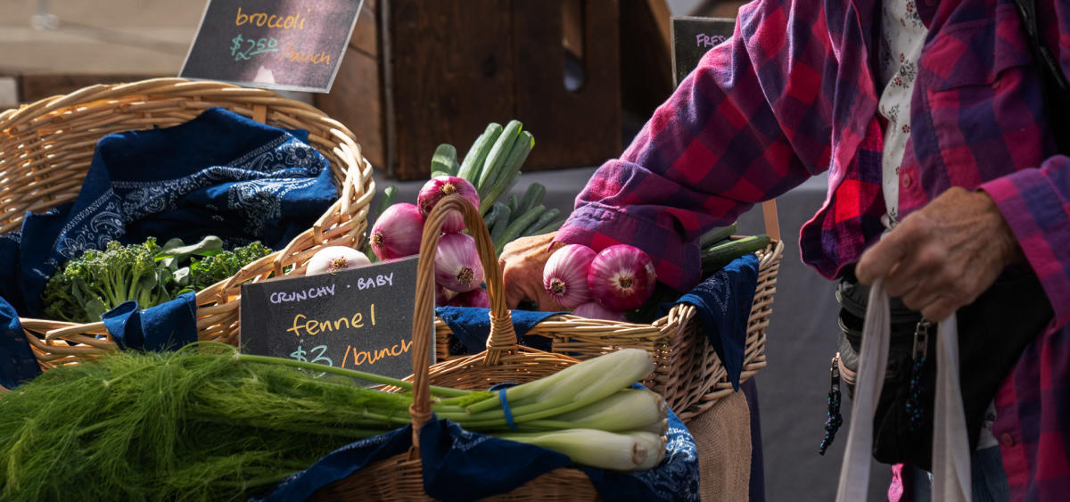 Local Farms & Markets
