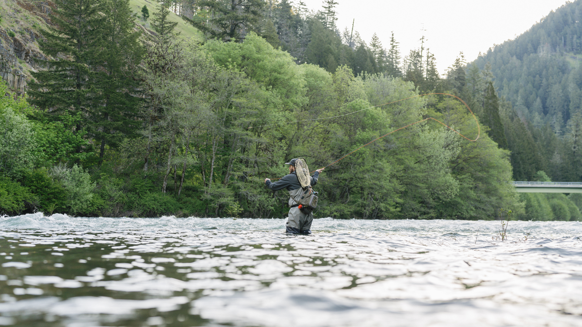 Experience Your Next Adventure: Fishing