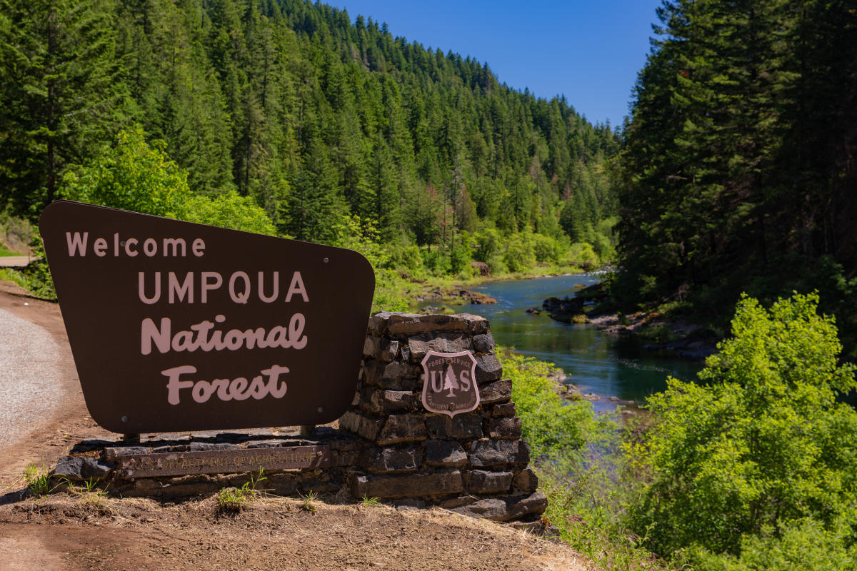 Umpqua National Forest