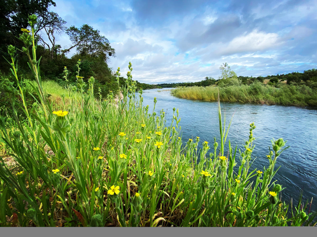 Podcast: New 'Mildly Scenic' Book Guides Your Visit to the Lower ...