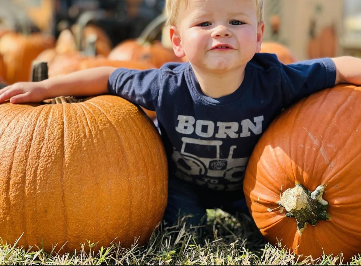 Guide: Lazy 5 Ranch Fall Festival