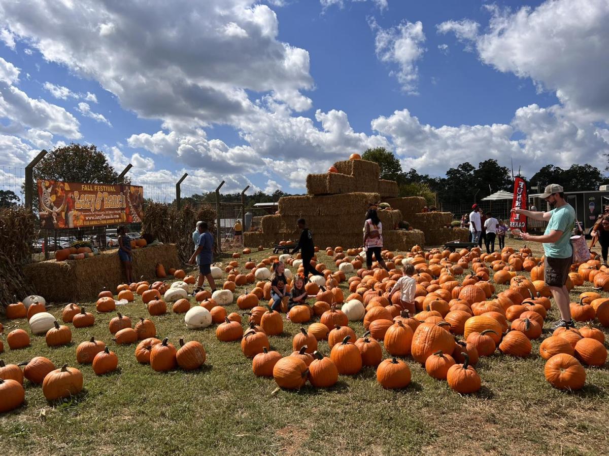 Guide: Lazy 5 Ranch Fall Festival 2025