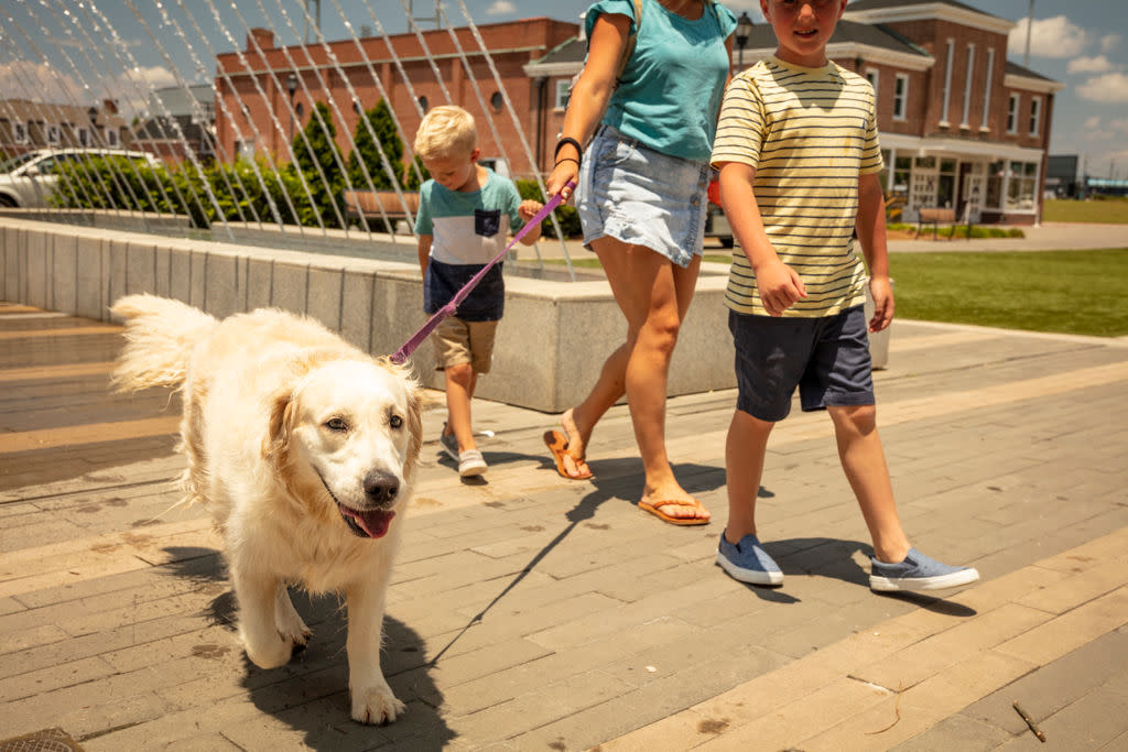 Pet-Friendly Things to Do in Rowan County