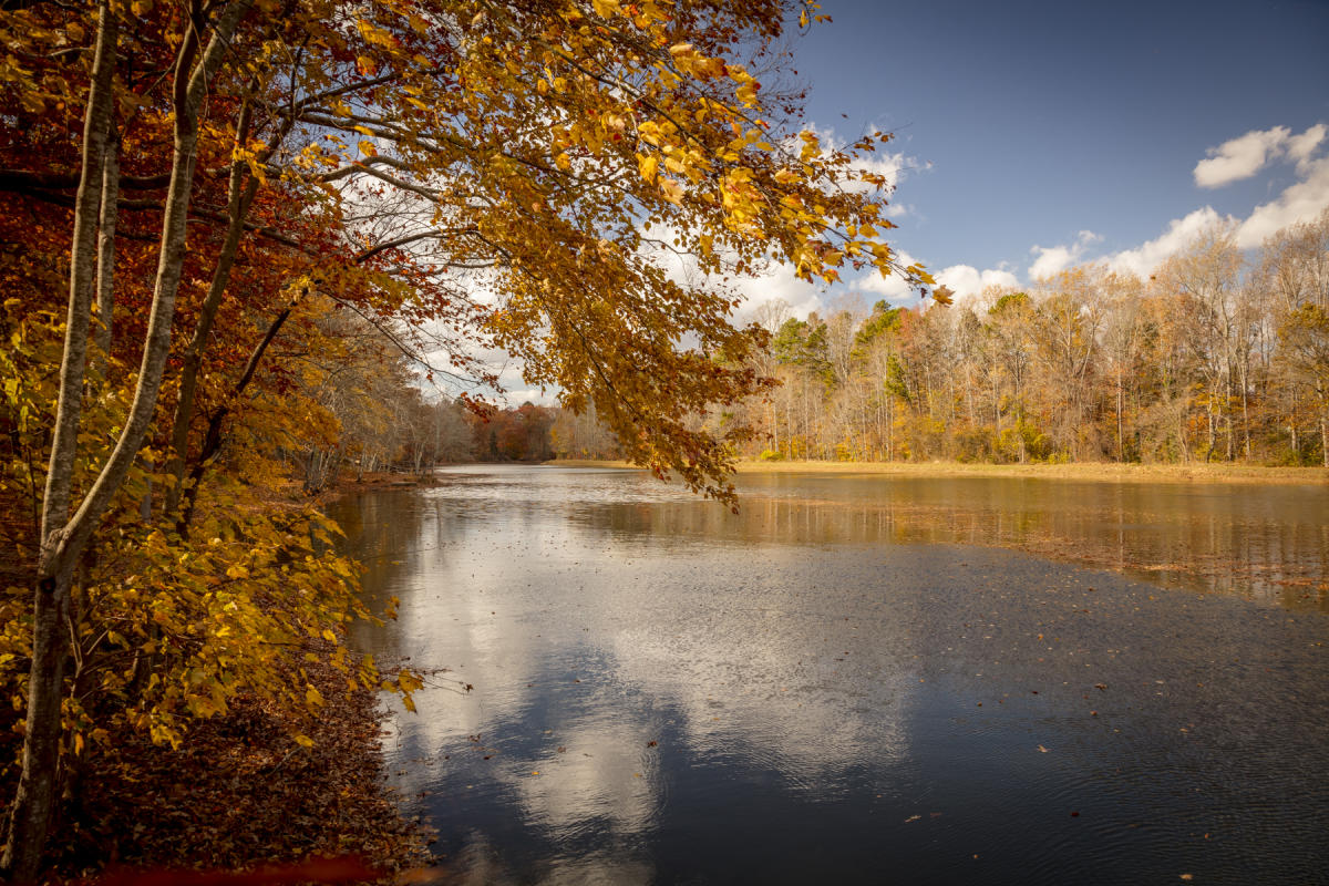 Things to Do with Kids in Rowan County, North Carolina