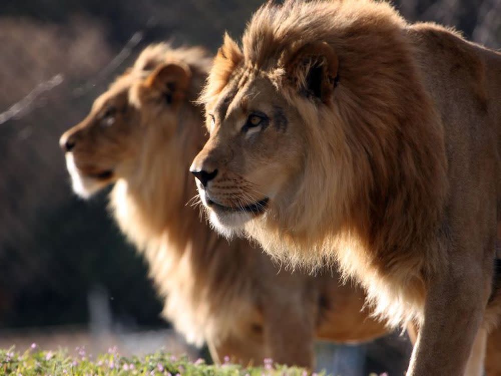 Gardens, Parks & Zoos in Salt Lake