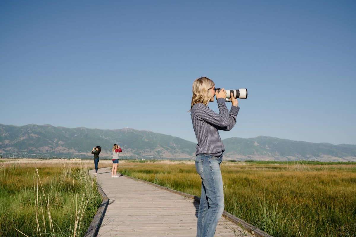 Birdwatching in Salt Lake City | Salt Lake Wildlife