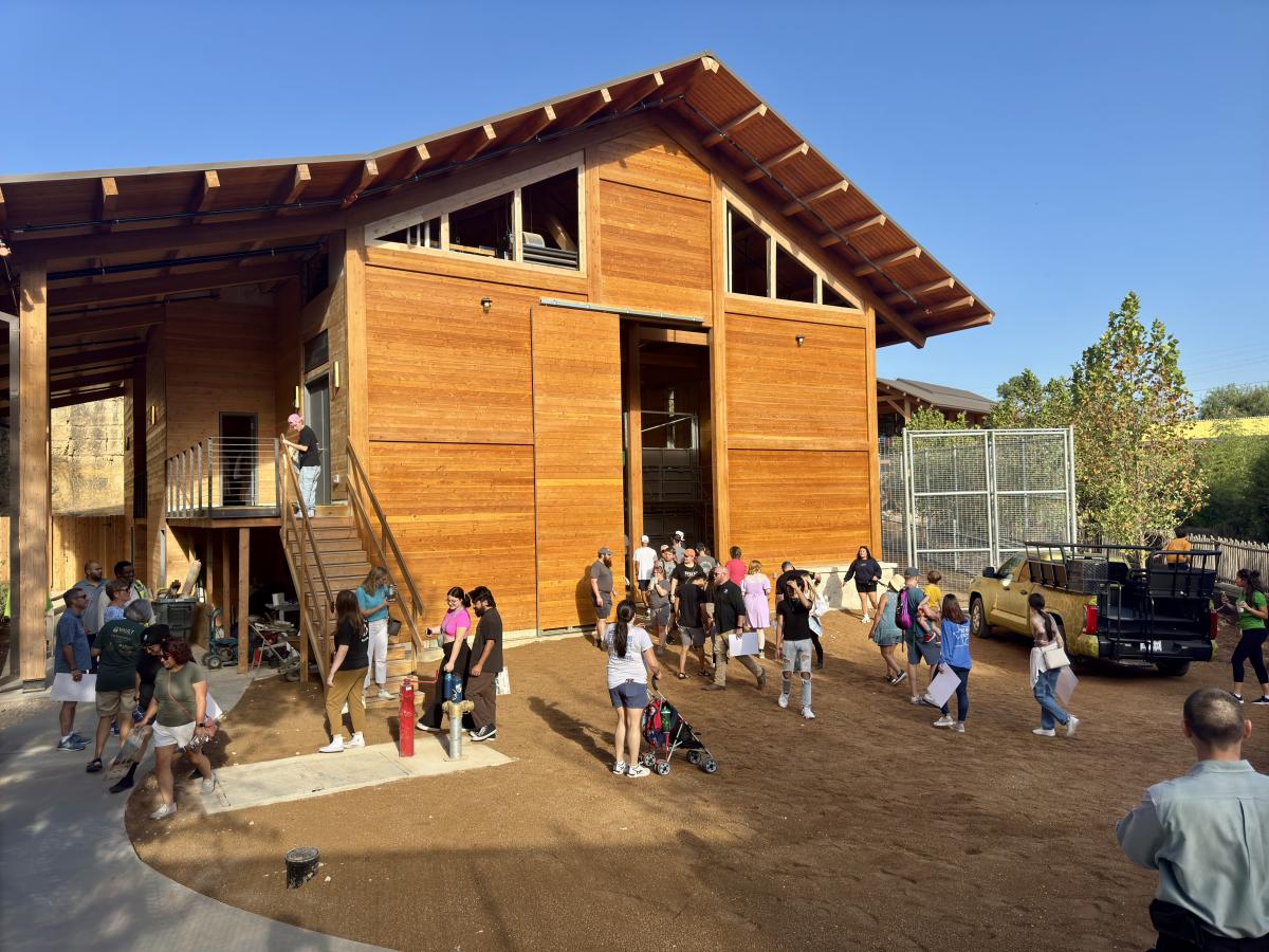 San Antonio Zoo Opens Largest Habitat in its History Naylor Savanna ...