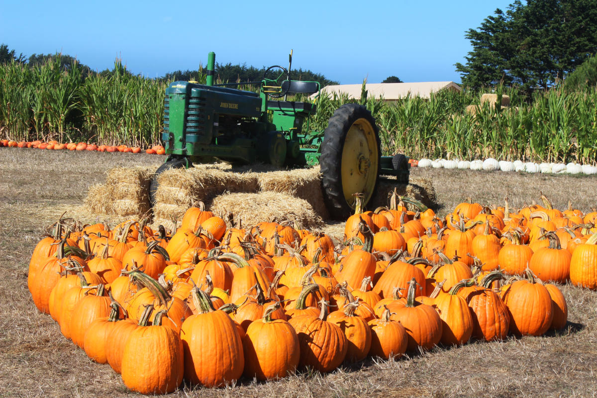 Farm Map | San Francisco Peninsula Agriculture