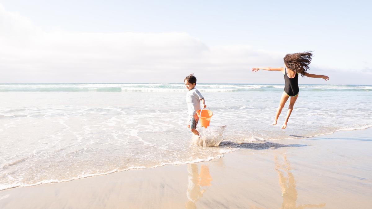 Summer Activities in The Bay Area | Beaches, Fairs & Events