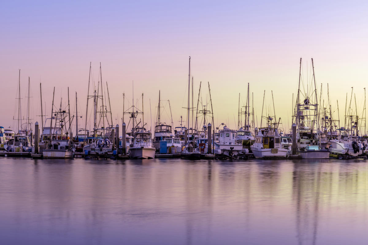 Pillar Point Harbor in Half Moon Bay