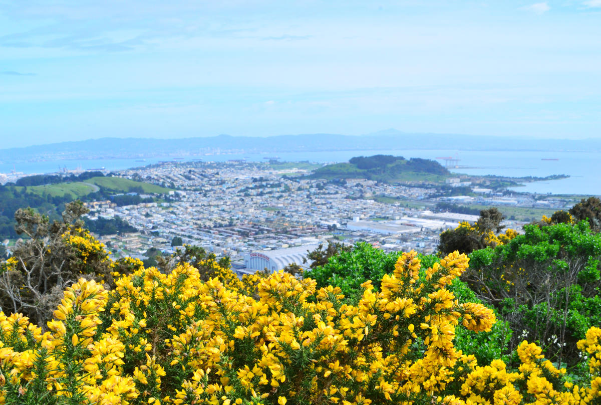 Frequesntly Asked Questions | The San Francisco Peninsula FAQ