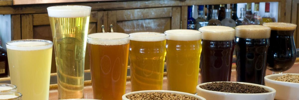 Tap Into 7 Unforgettable Santa Fe Beer Experiences