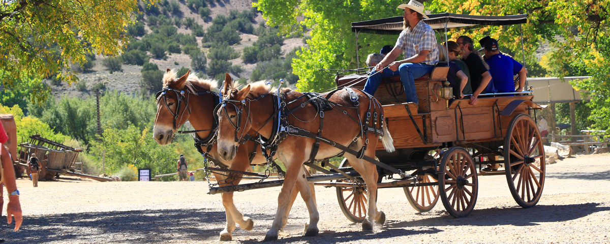 Fall for these 11 October Events in Santa Fe