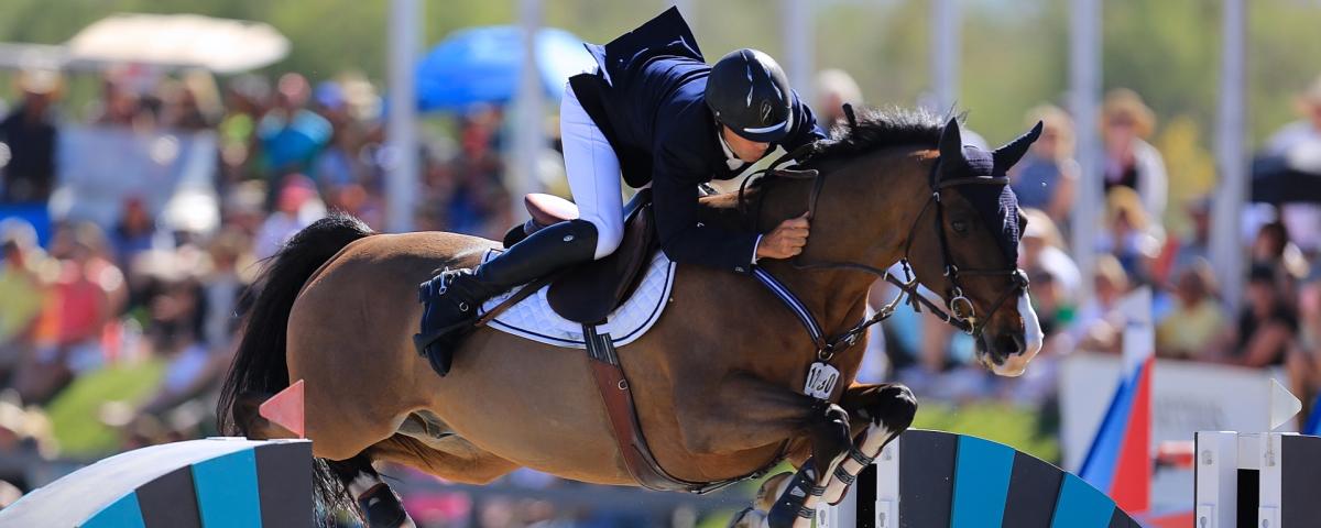 A Horse Is A Horse In Santa Fe!