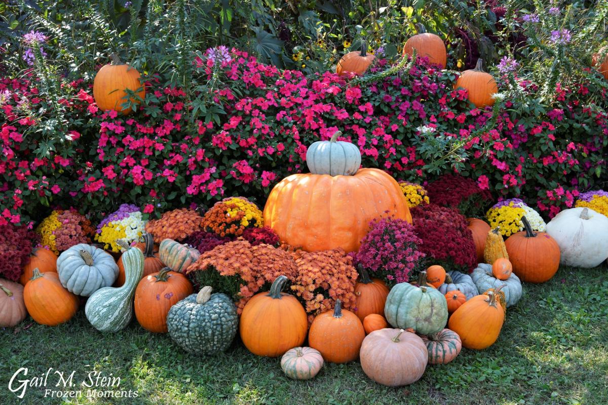 Fun Fall Activities in Saratoga Springs, NY