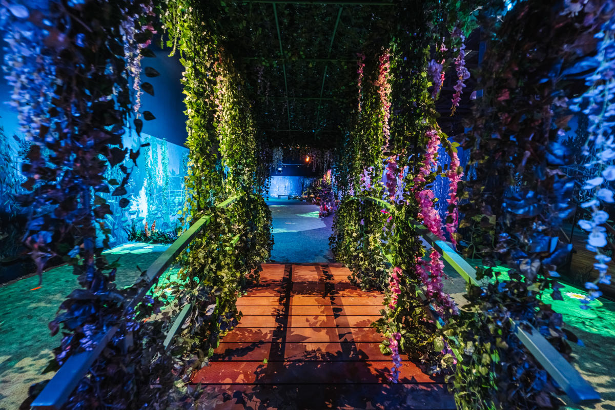 Monet Immersive Exhibit Coming to Schenectady