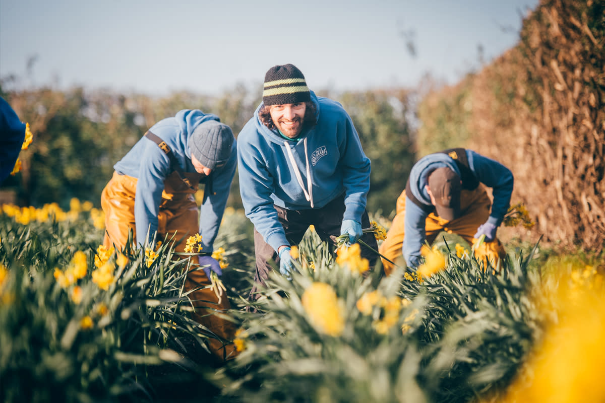 Discover Local Growers & Producers of the Isles of Scilly – Unique ...