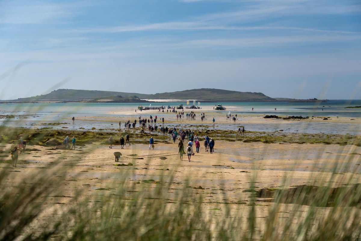 Tresco’s Low Tide Event – Walk Between Tresco & Bryher at Low Tide