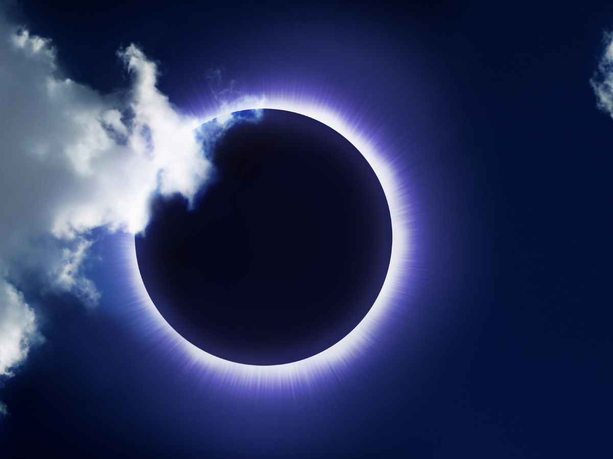 How to deal with your pets during the Total Solar Eclipse