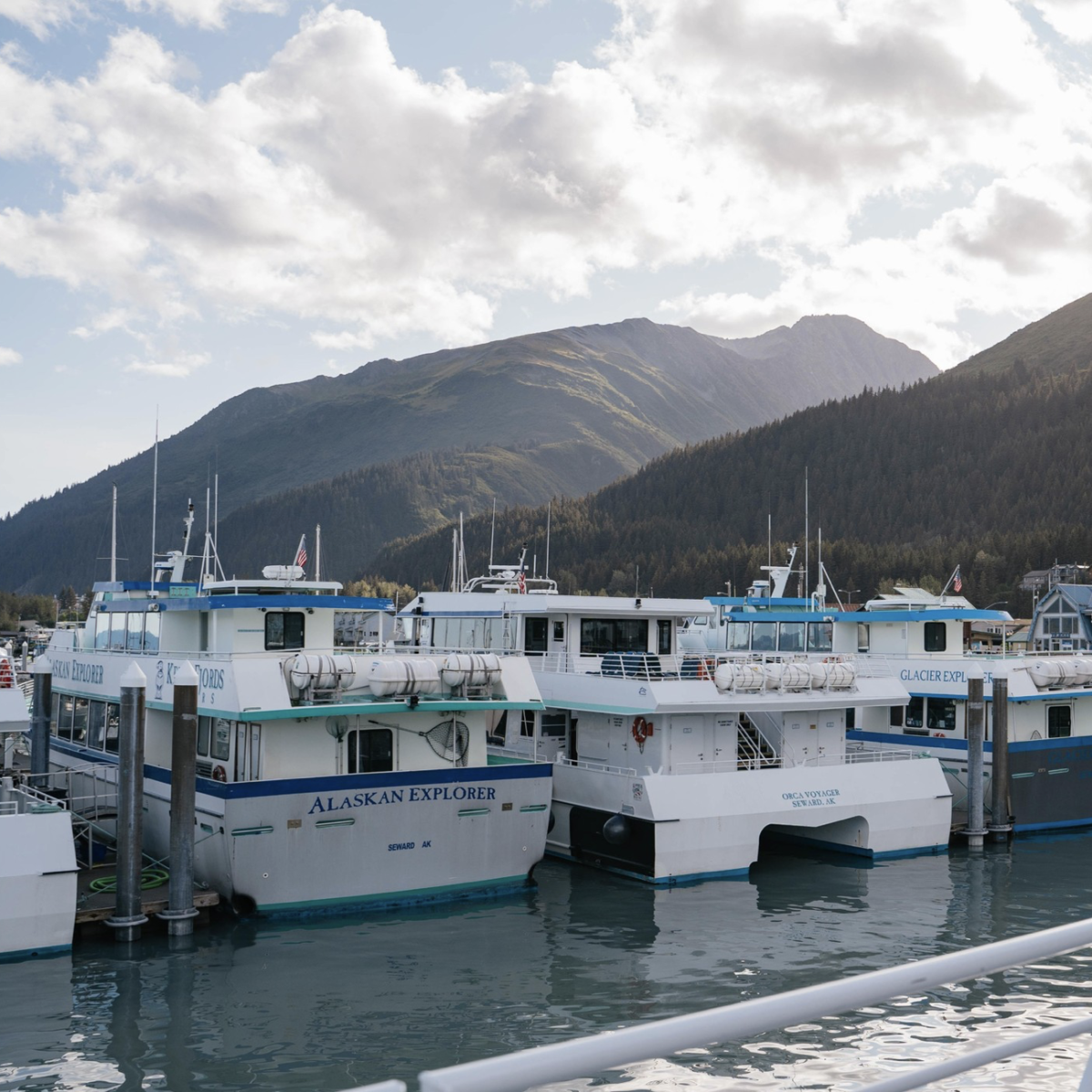 Member Spotlight: Kenai Fjords Tours