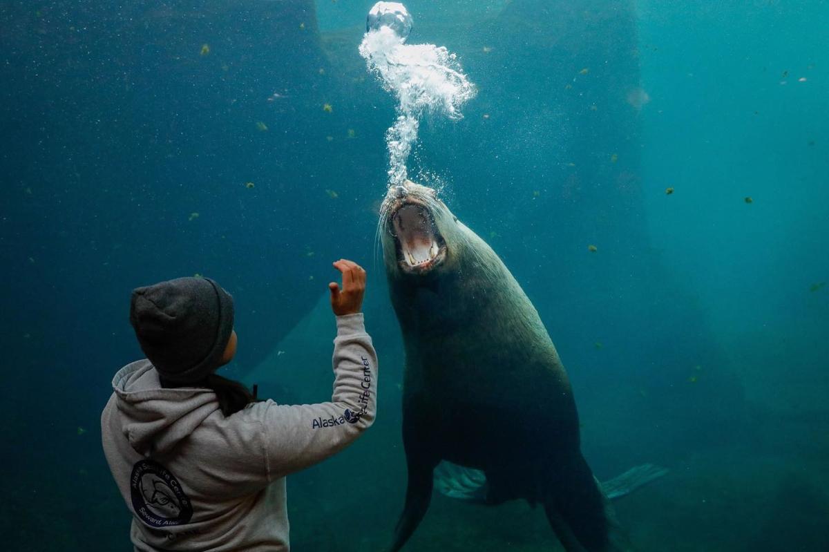 Alaska Sealife Center