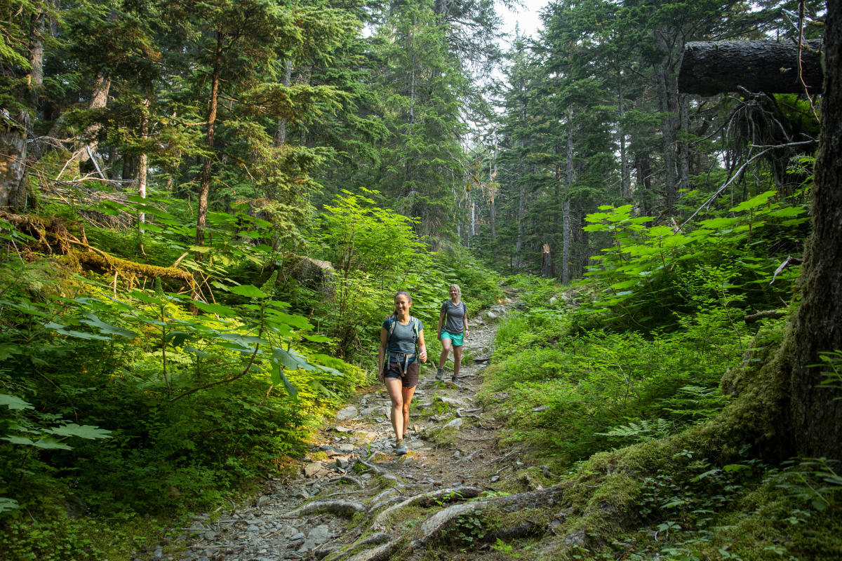 What to do in Seward • Visit Seward Alaska